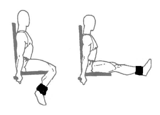 Stuck At Your Desk? Exercise While You Work - Fit Tip Daily