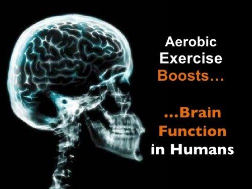 Can Exercising Increase Your Brain Function - Fit Tip Daily