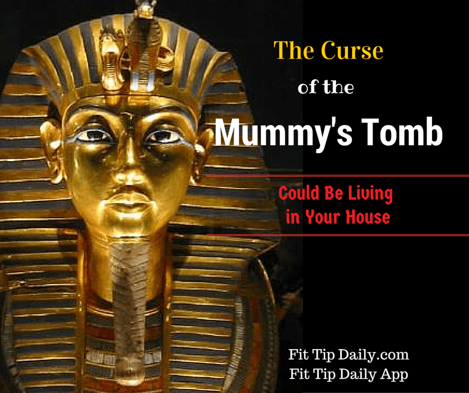 The "Mummy's Curse" Could Be Living in Your House - Fit Tip Daily