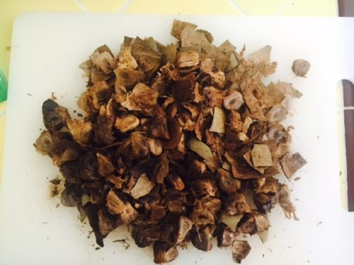 Benefits of Monk Fruit (LUO HAN GUO) - With Bonus Tea Recipe - Fit Tip ...